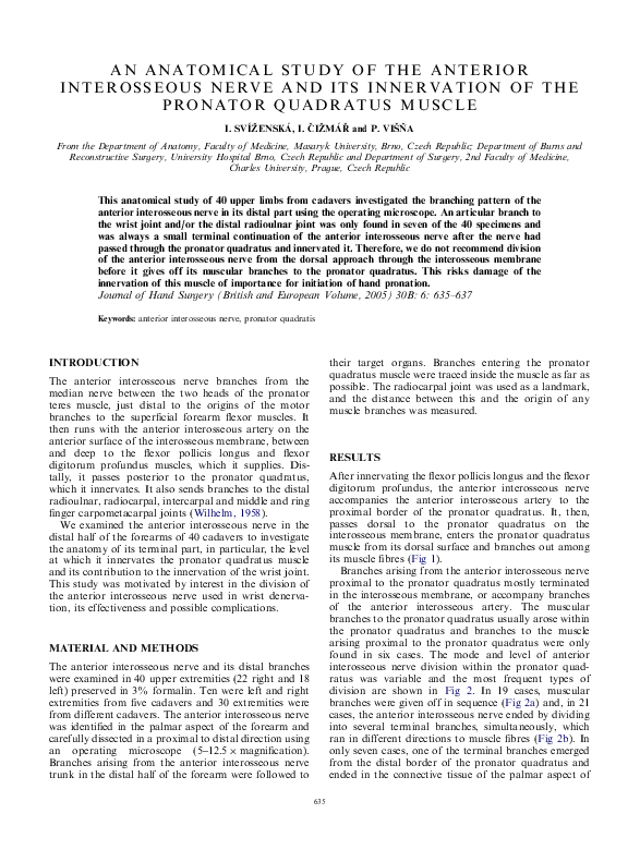 (PDF) An Anatomical Study of the Anterior Interosseous Nerve and its ...