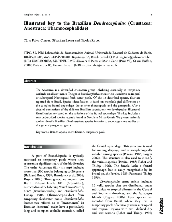 (PDF) Illustrated key to the Brazilian Dendrocephalus (Crustacea ...