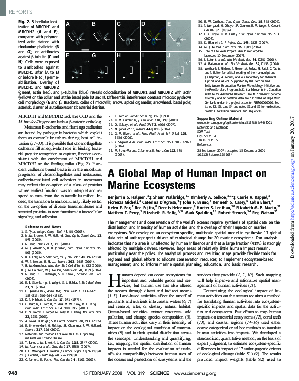 (PDF) A Global Map of Human Impact on Marine Ecosystems