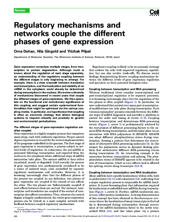 (PDF) Regulatory mechanisms and networks couple the different phases of ...