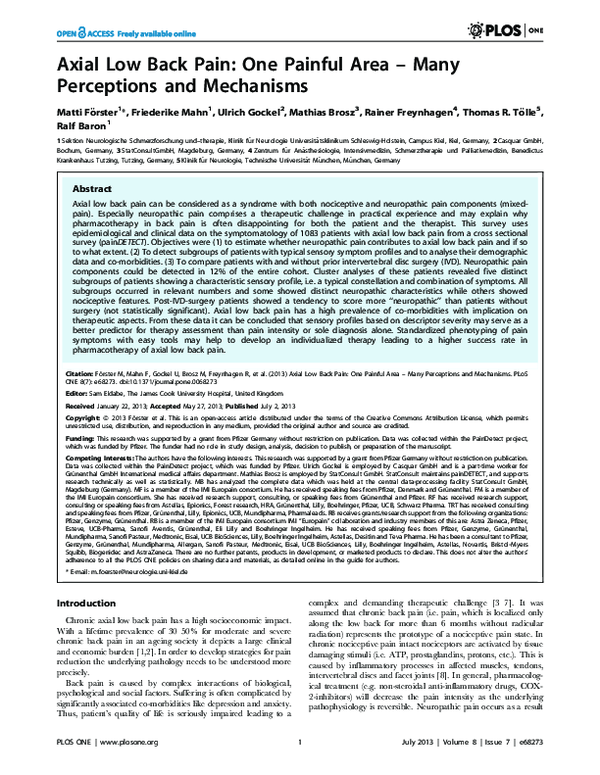 (PDF) Axial Low Back Pain: One Painful Area – Many Perceptions and ...
