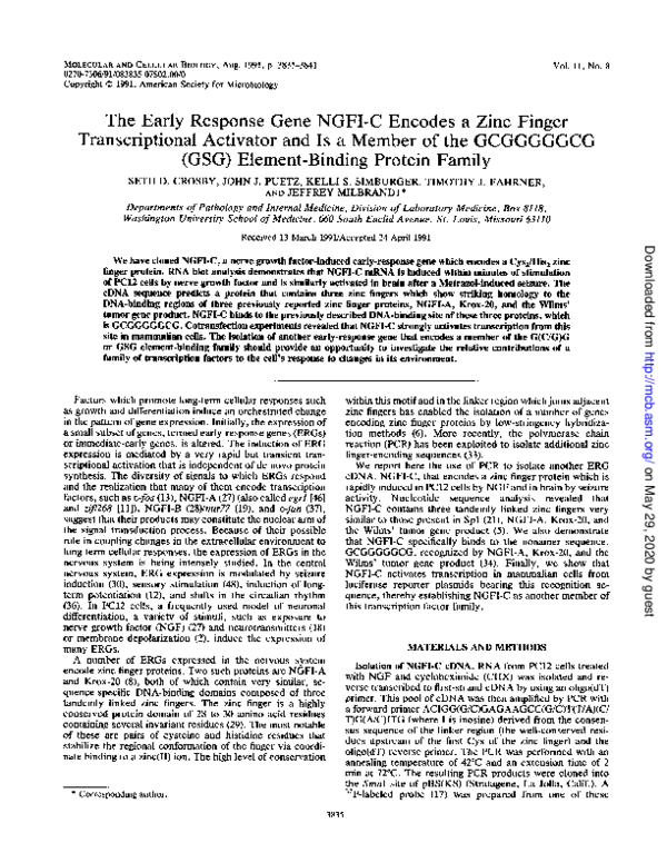 (PDF) The early response gene NGFI-C encodes a zinc finger ...