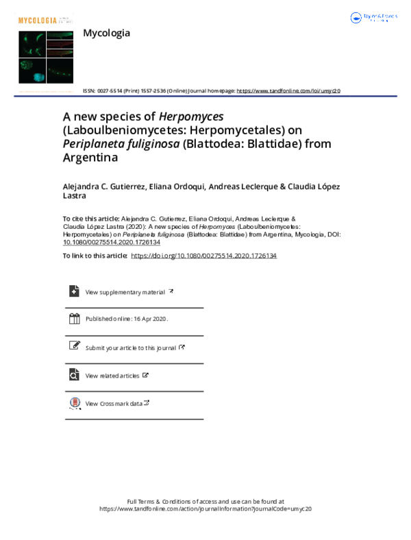(PDF) A new species of Herpomyces (Laboulbeniomycetes: Herpomycetales ...