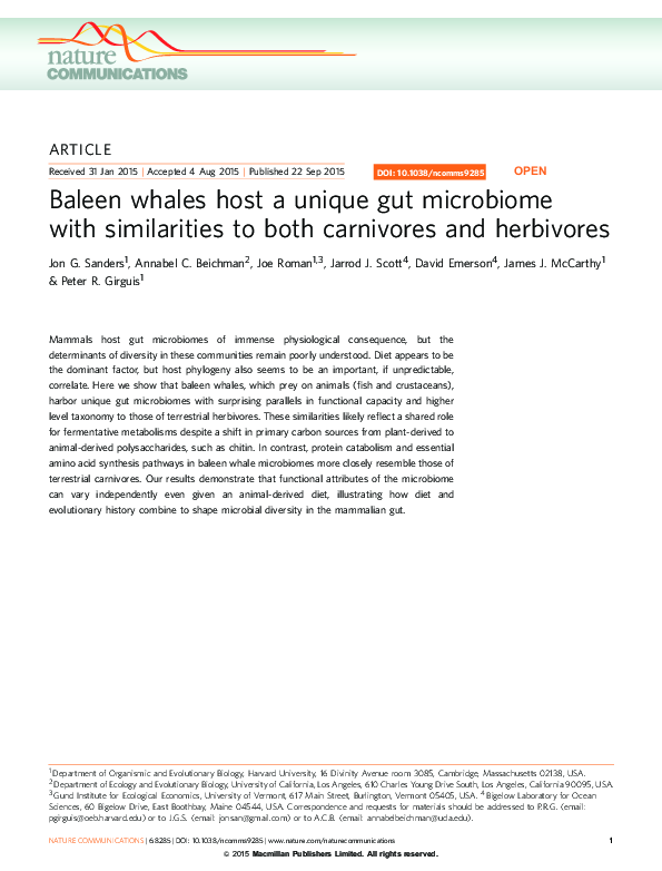 (PDF) Baleen whales host a unique gut microbiome with similarities to ...