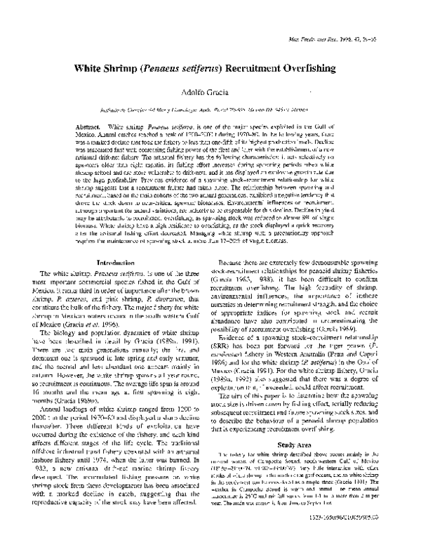(PDF) White shrimp (Penaeus setiferus) recruitment overfishing