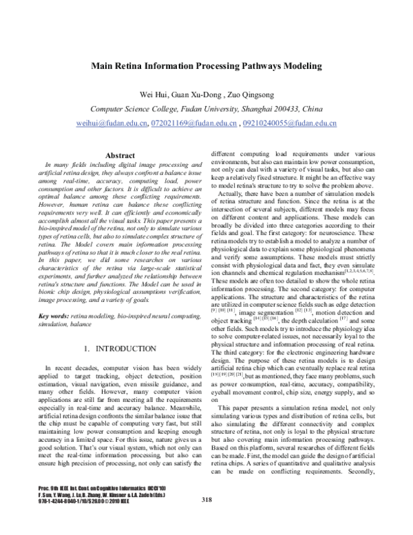 (PDF) Main Retina Information Processing Pathways Modeling