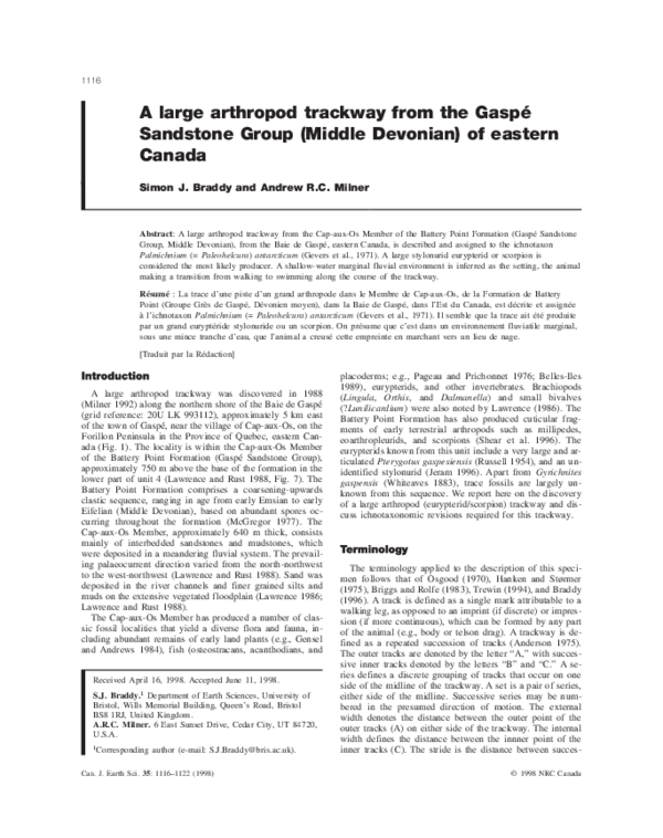 (PDF) A large arthropod trackway from the Gaspé Sandstone Group (Middle ...