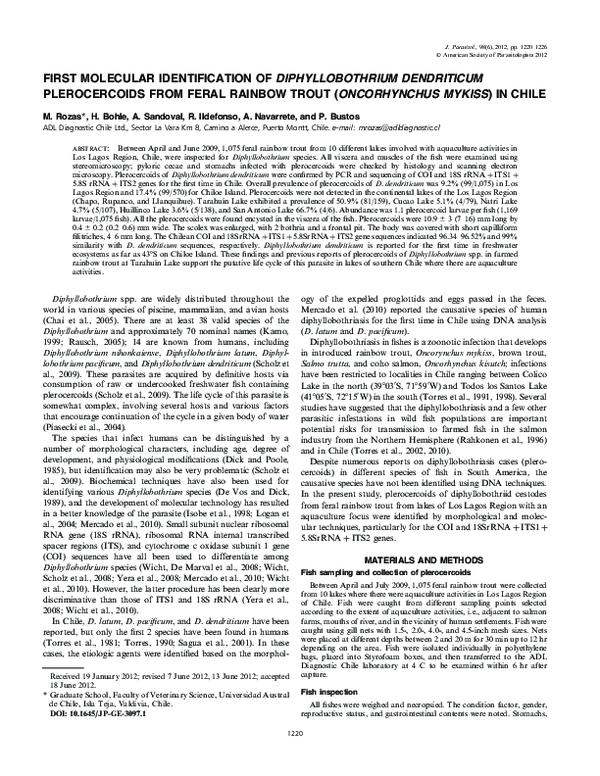 (PDF) First Molecular Identification ofDiphyllobothrium ...