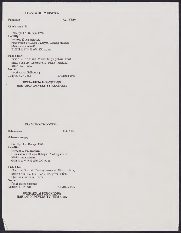 (PDF) Plant specimen labels : Indonesia | Edi Mirmanto - Academia.edu