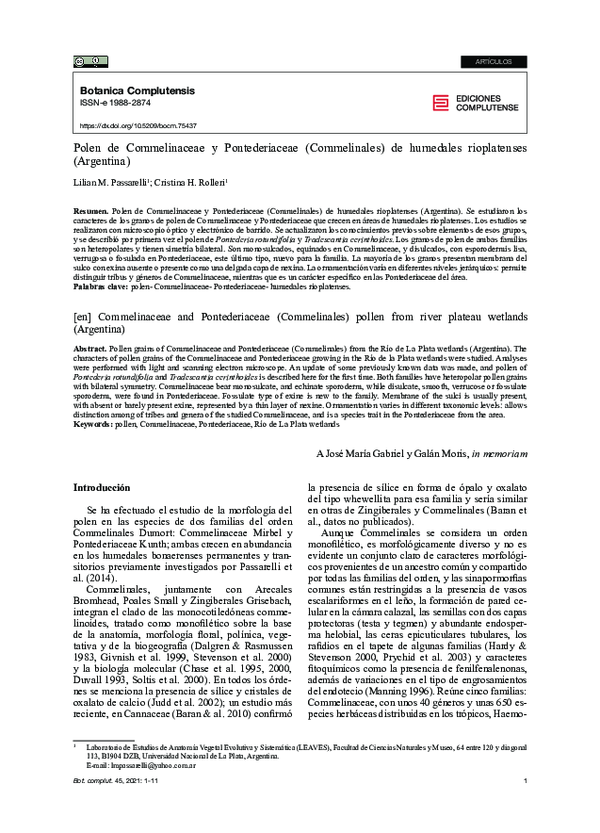 (PDF) Polen de Commelinaceae y Pontederiaceae (Commelinales) de ...