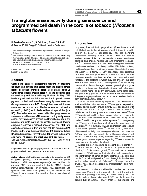(PDF) Transglutaminase activity during senescence and programmed cell ...