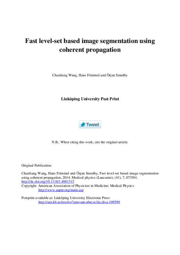 (PDF) Fast level-set based image segmentation using coherent propagation | Örjan Smedby ...