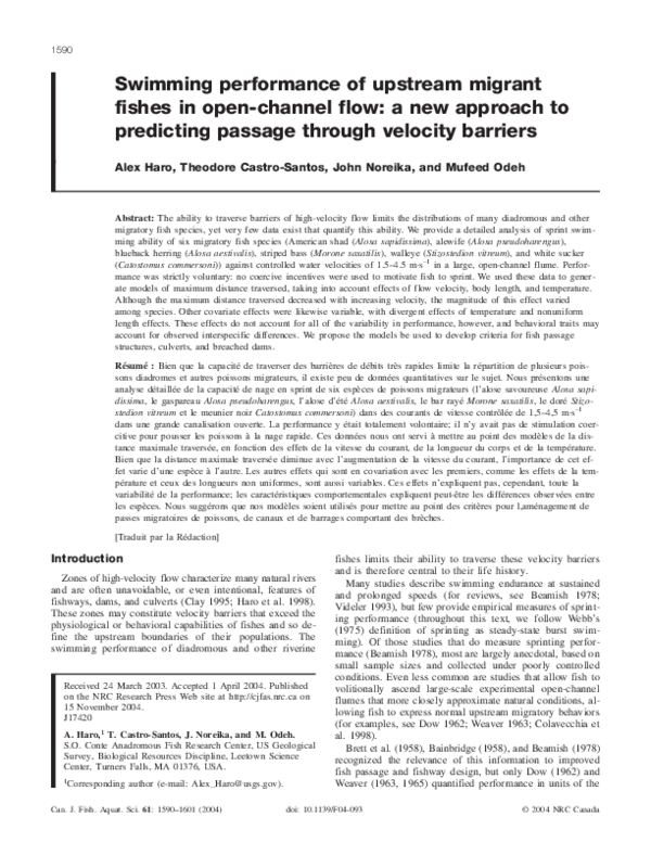 (PDF) Swimming performance of upstream migrant fishes in open-channel ...