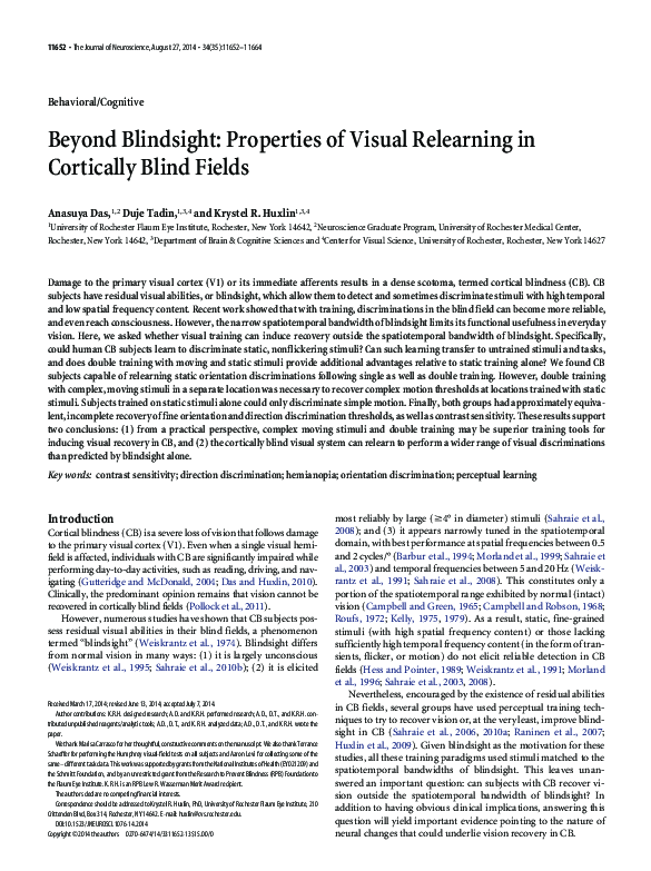(PDF) Beyond Blindsight: Properties of Visual Relearning in Cortically ...