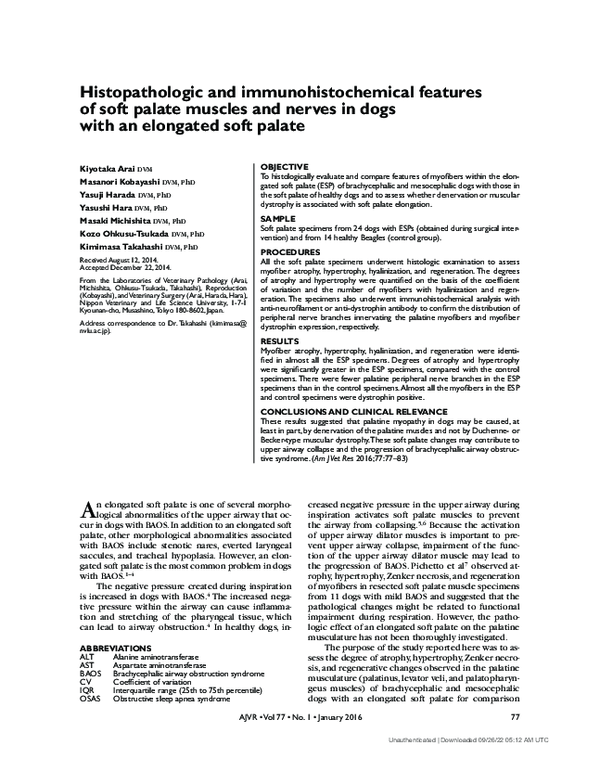 (PDF) Histopathologic and immunohistochemical features of soft palate ...