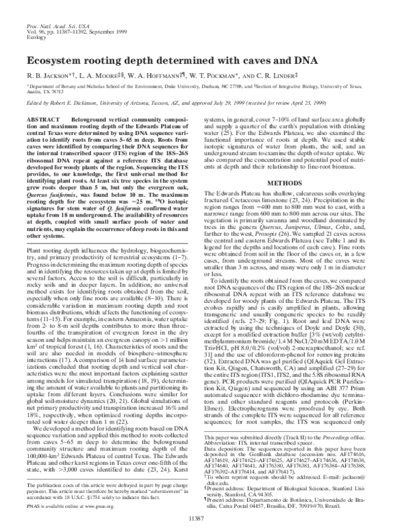 (PDF) Ecosystem rooting depth determined with caves and DNA