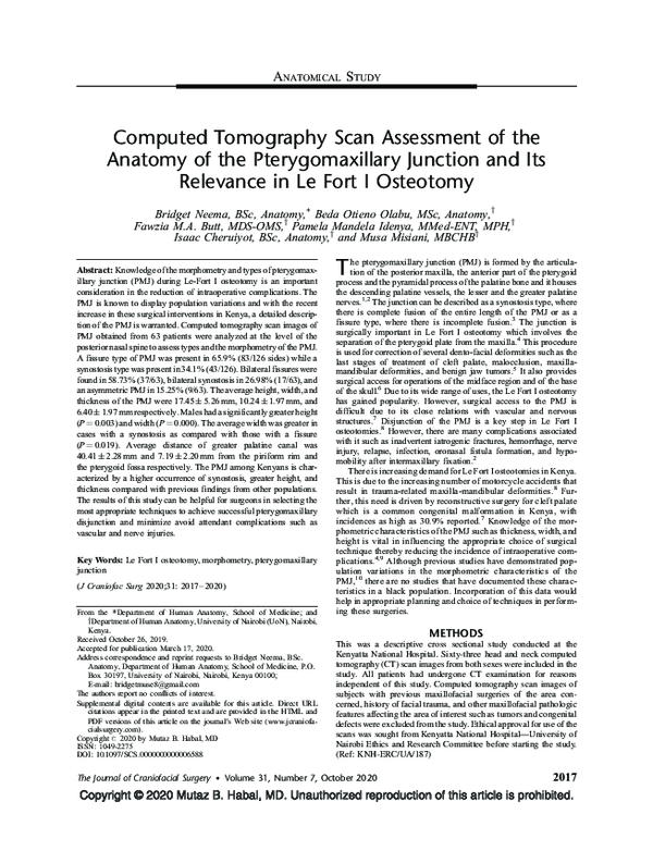 (PDF) Computed Tomography Scan Assessment of the Anatomy of the ...