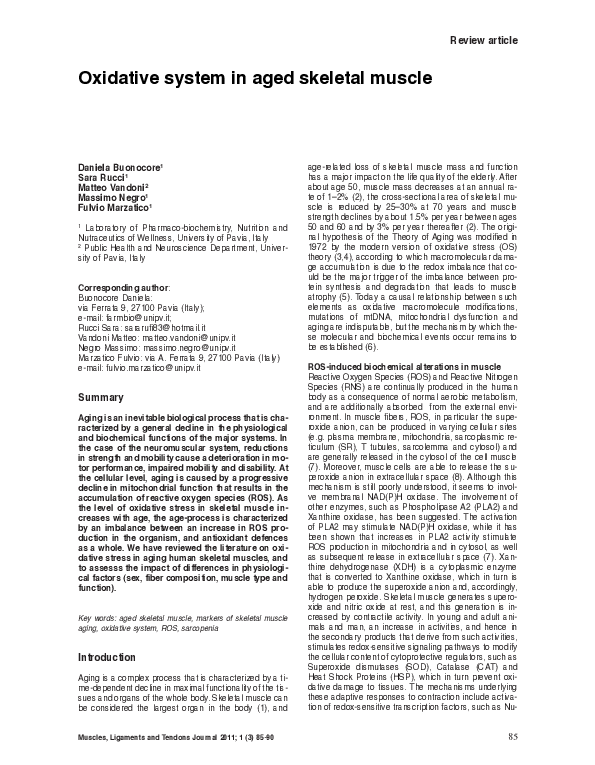 (PDF) Oxidative system in aged skeletal muscle