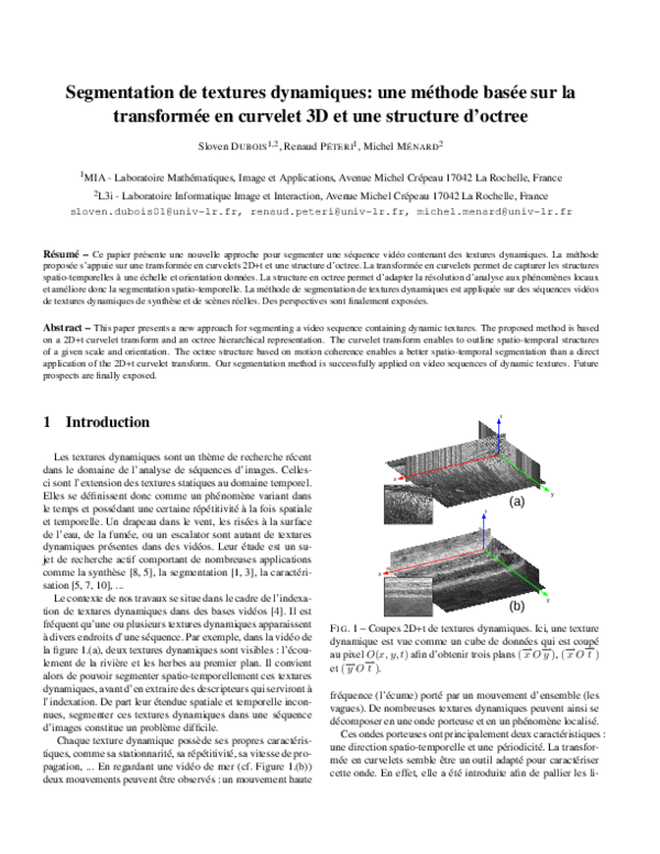 (PDF) Segmentation de textures dynamiques: une méthode basée sur la transformée en curvelet 3D ...