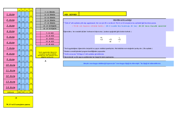 (XLS) D2 DİKKAT TESTİ