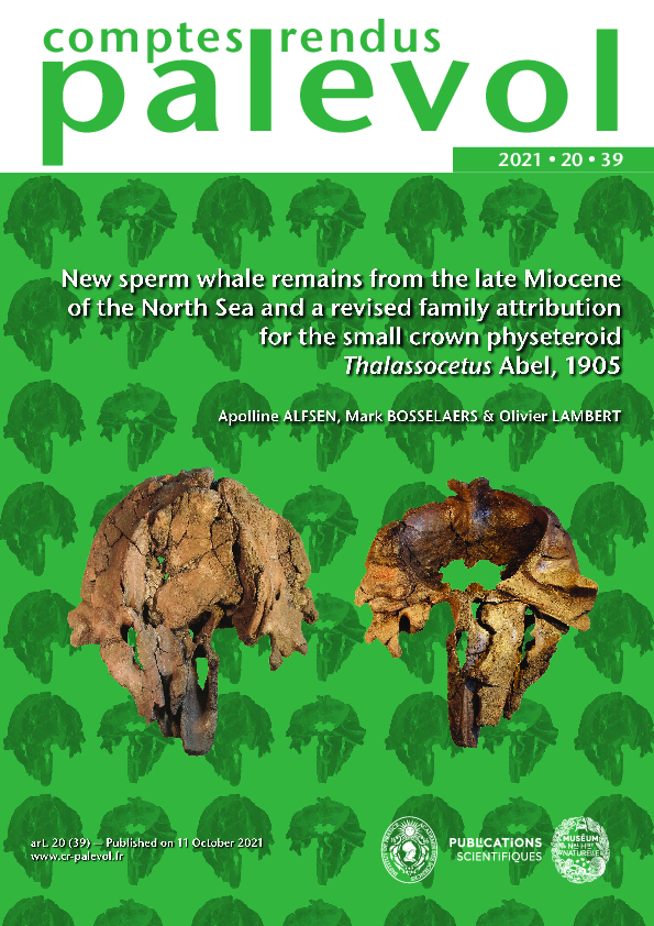 (PDF) New sperm whale remains from the late Miocene of the North Sea ...