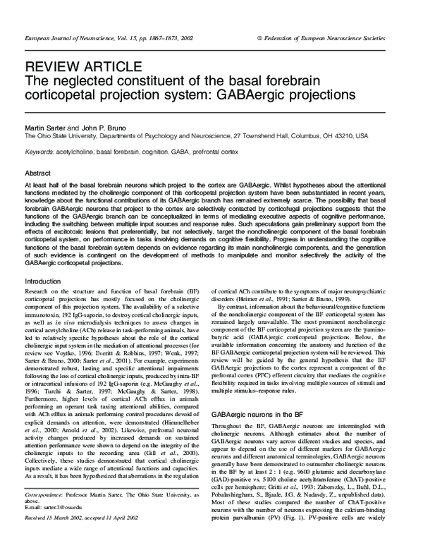 (PDF) The neglected constituent of the basal forebrain corticopetal ...