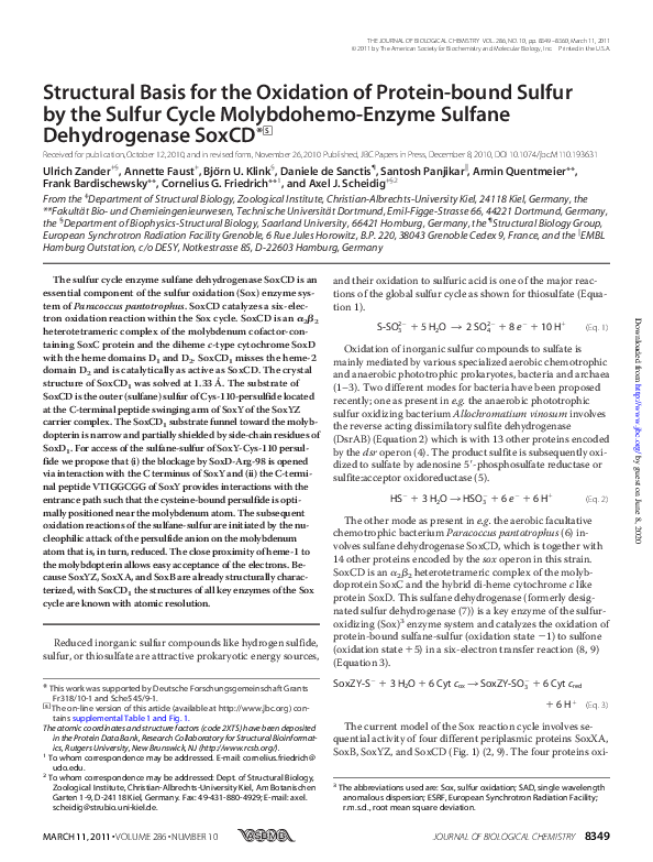 (PDF) Structural Basis for the Oxidation of Protein-bound Sulfur by the ...