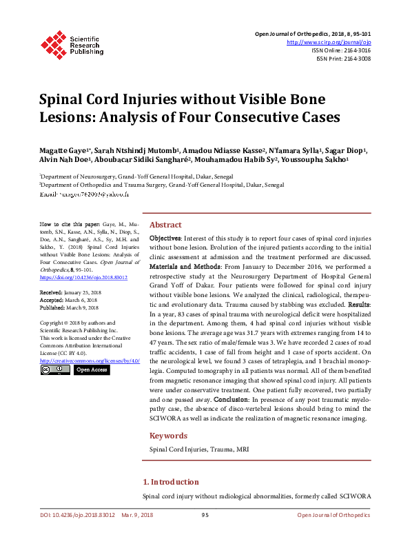 (PDF) Spinal Cord Injuries without Visible Bone Lesions: Analysis of ...