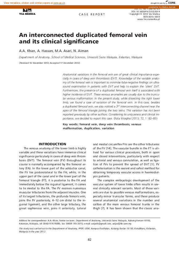 (PDF) An interconnected duplicated femoral vein and its clinical ...