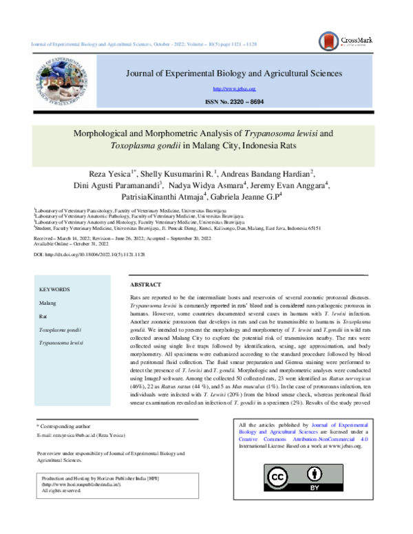 (PDF) Morphological and Morphometric Analysis of Trypanosoma lewisi and ...