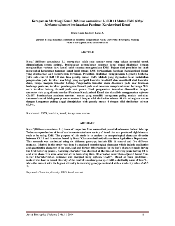 (PDF) Keragaman Morfologi Kenaf (Hibiscus cannabinus L.) KR 11 Mutan EMS (Ethyl Methanesulfonate ...