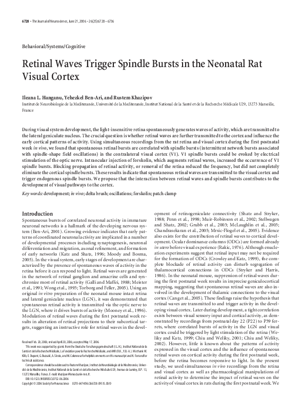 (PDF) Retinal Waves Trigger Spindle Bursts in the Neonatal Rat Visual Cortex | Yehezkel Ben-Ari ...