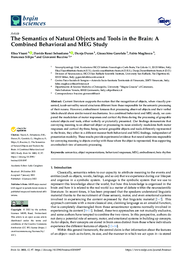 (PDF) The Semantics of Natural Objects and Tools in the Brain: A ...