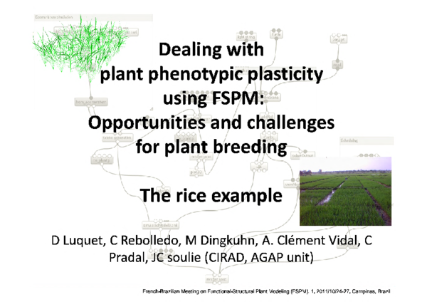 (PDF) Dealing with plant phenotypic plasticity using FSPM: opportunities and challenges for ...