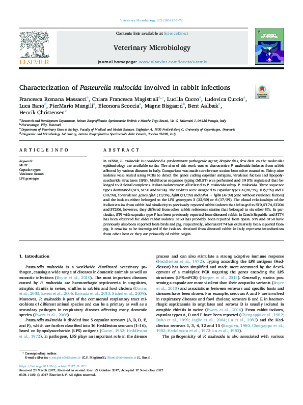 (PDF) Characterization of Pasteurella multocida involved in rabbit ...