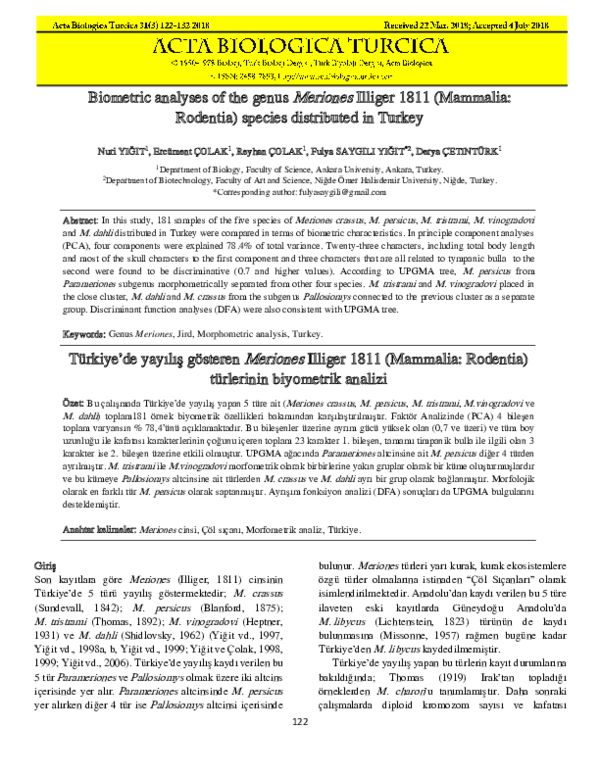 (PDF) Biometric analyses of the genus Meriones Illiger 1811 (Mammalia ...