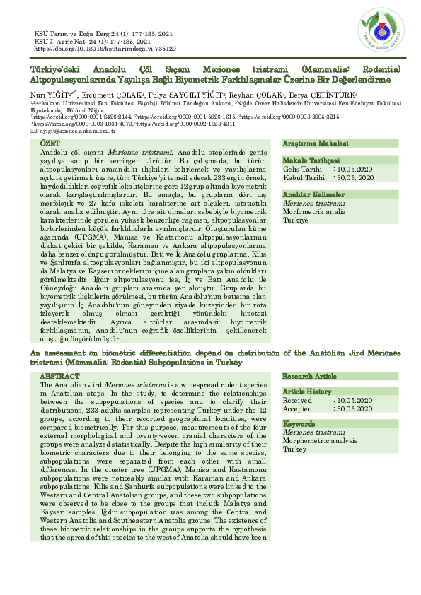 (PDF) Türkiye’deki Anadolu Çöl Sıçanı Meriones tristrami (Mammalia ...
