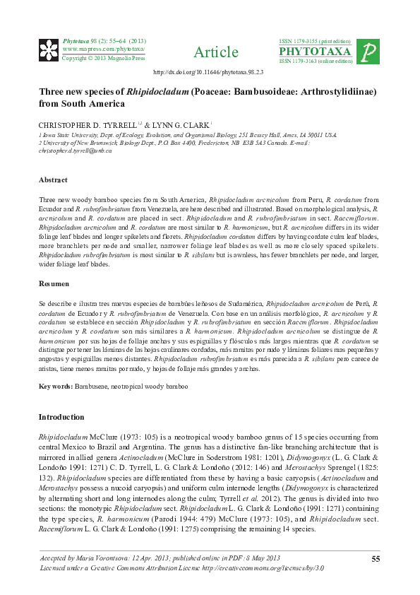 (PDF) Three new species of Rhipidocladum (Poaceae: Bambusoideae ...