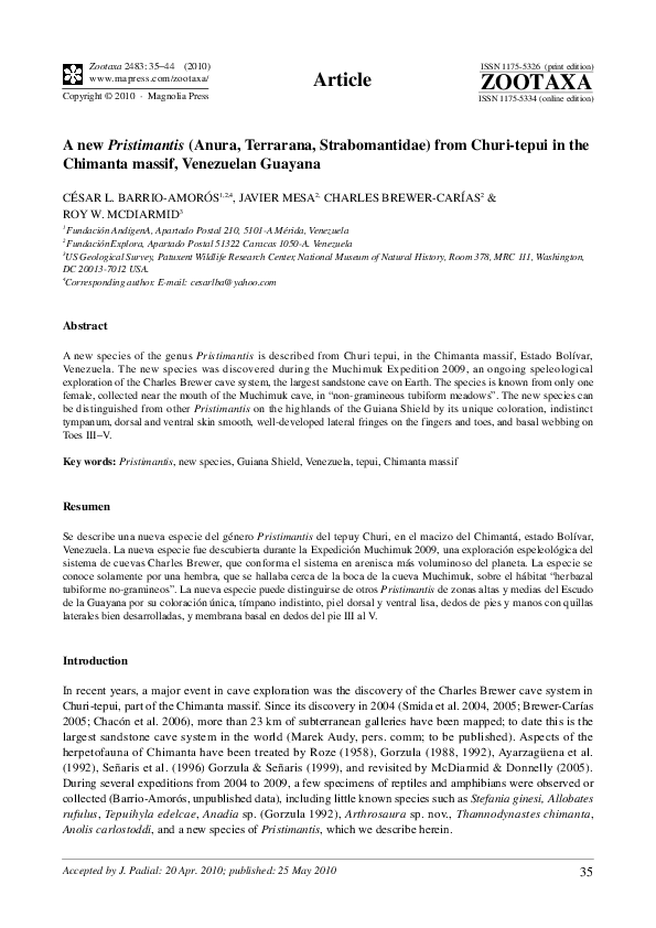 (PDF) A new Pristimantis (Anura, Terrarana, Strabomantidae) from Churi ...