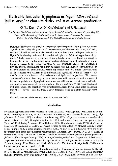 (PDF) Heritable testicular hypoplasia in Nguni (Bos indicus) bulls ...