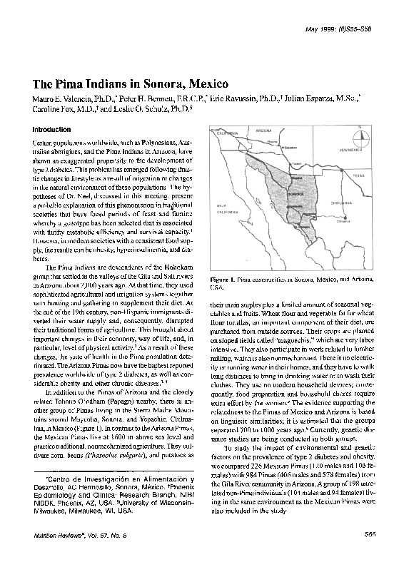 (PDF) The Pima Indians in Sonora, Mexico
