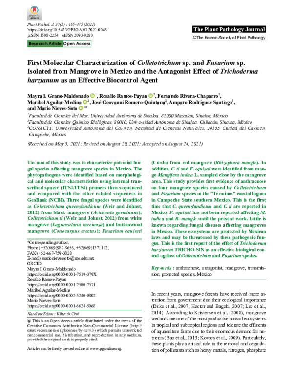 Pdf First Molecular Characterization Of Colletotrichum Sp And Fusarium Sp Isolated From