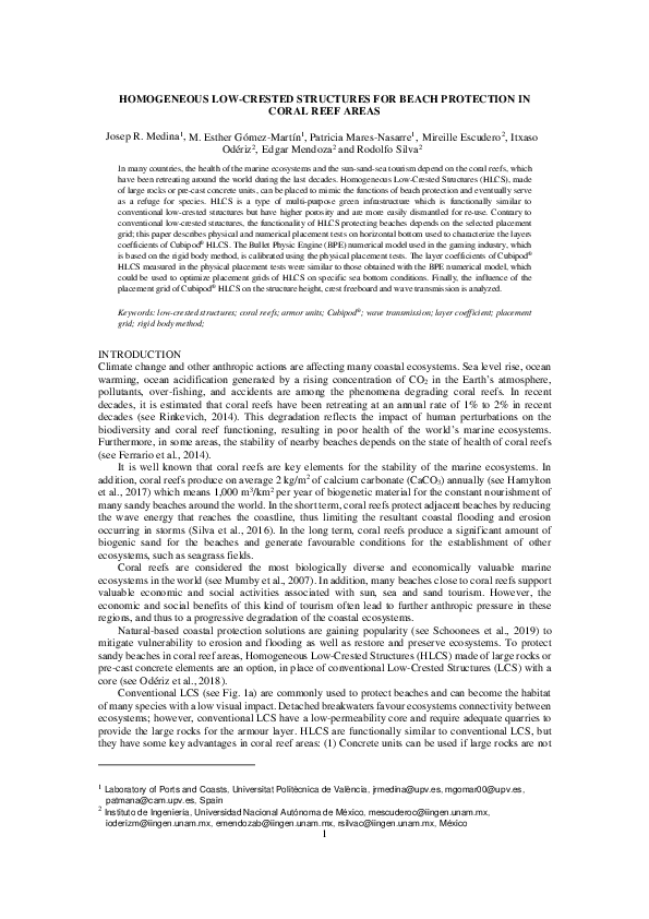 (PDF) Homogeneous Low-Crested Structures for Beach Protection in Coral ...