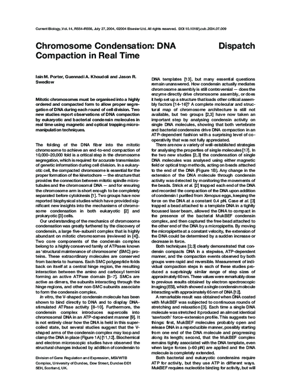 Pdf Chromosome Condensation Dna Compaction In Real Time Iain Porter