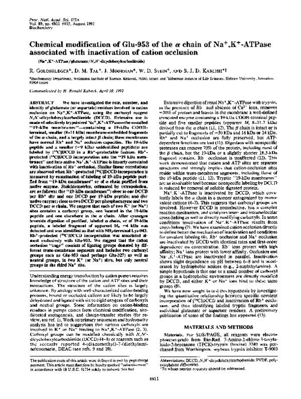 (PDF) Chemical modification of Glu-953 of the alpha chain of Na+,K ...