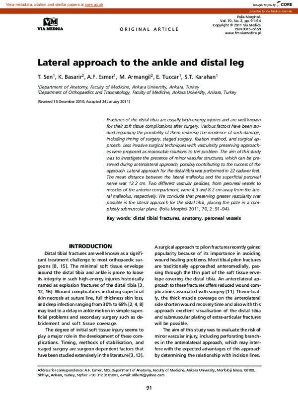 (PDF) Lateral approach to the ankle and distal leg