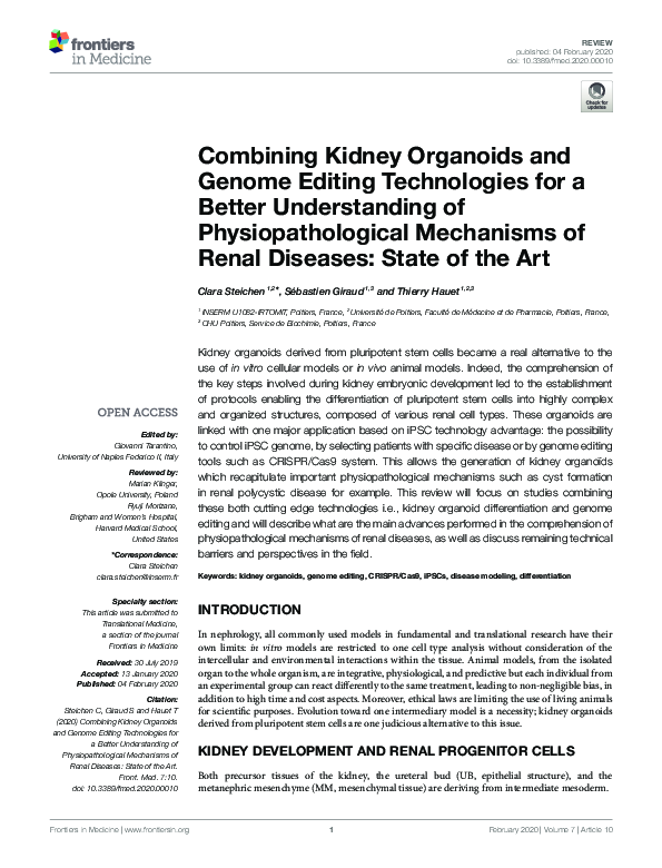 (PDF) Combining Kidney Organoids and Genome Editing Technologies for a ...