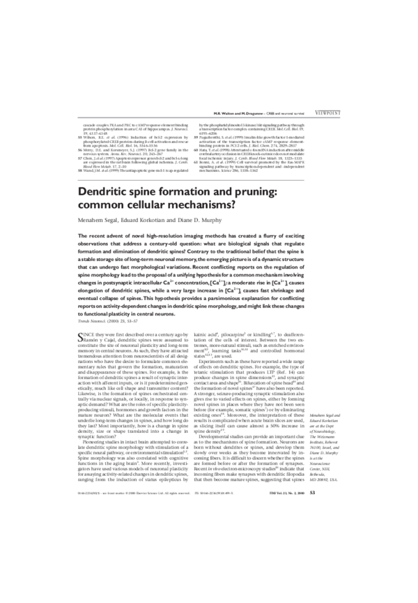 (PDF) Dendritic spine formation and pruning: common cellular mechanisms ...