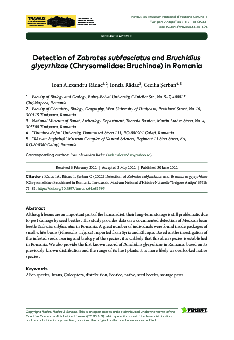 (PDF) Detection of Zabrotes subfasciatus and Bruchidius glycyrhizae ...