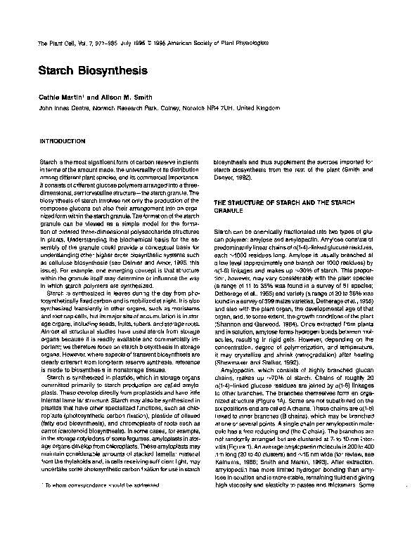 (PDF) Starch biosynthesis